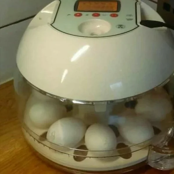 Mini Advance EX Automatic Incubator - Parrots Yard